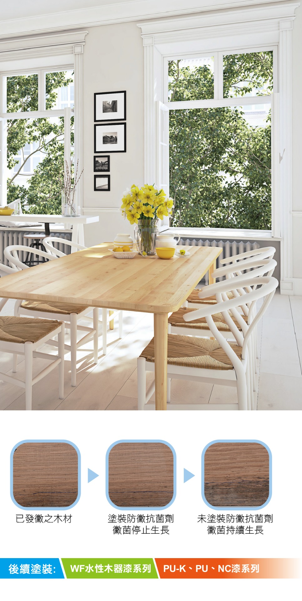 綠建材WF水性漆 :: 瑞怡造漆 JUIYI 騰豐 歐瑞士